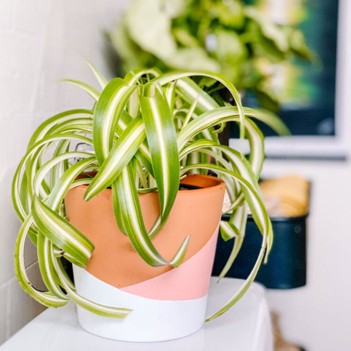 30 Easy Painted Terracotta Pots and Painting Pots Ideas