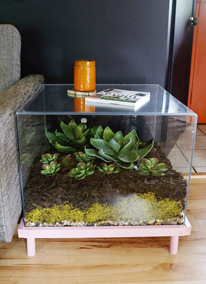 30 Cool DIY Terrarium Ideas Anyone Can Make Cheaply - The Beauty Dojo