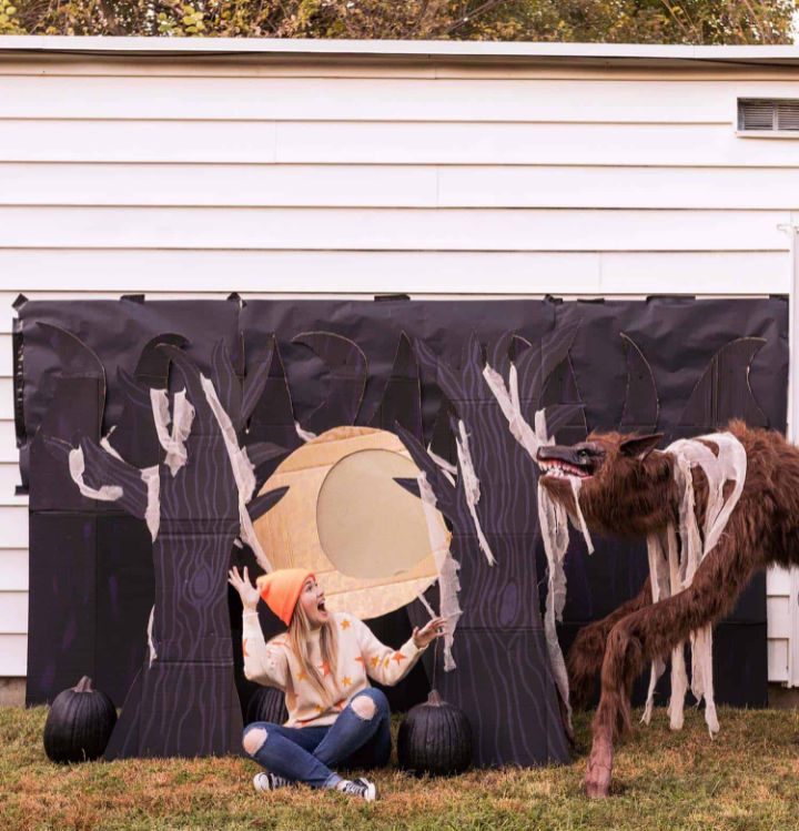 50 DIY Photo Backdrop Ideas for Every Type of Photography